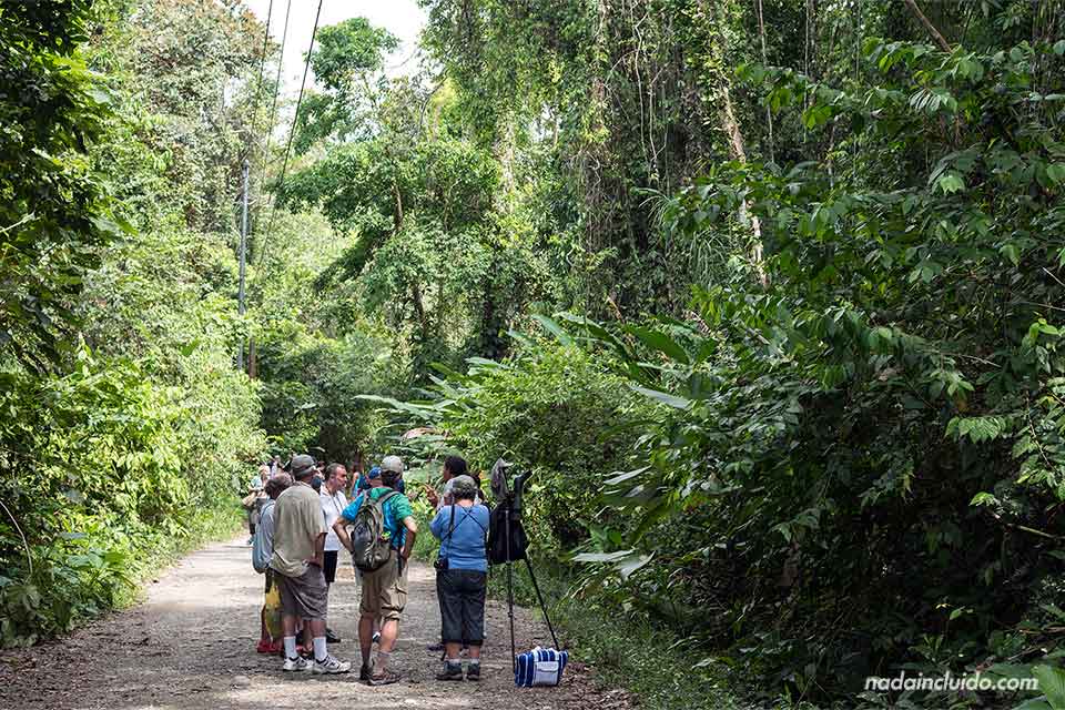 Turistas en Manuel Antonio | Nada Incluido - Blog de viajes