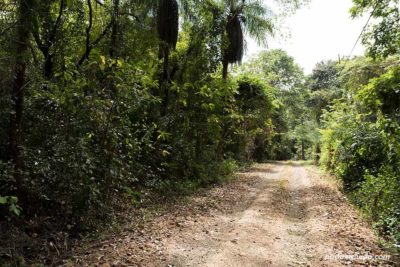 Reserva natural de Cabo Blanco | Nada Incluido - Blog de viajes