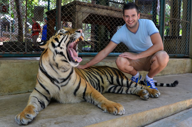 En el Tiger Kingdom de Chiang Mai (Tailandia) | Nada Incluido - Blog de ...
